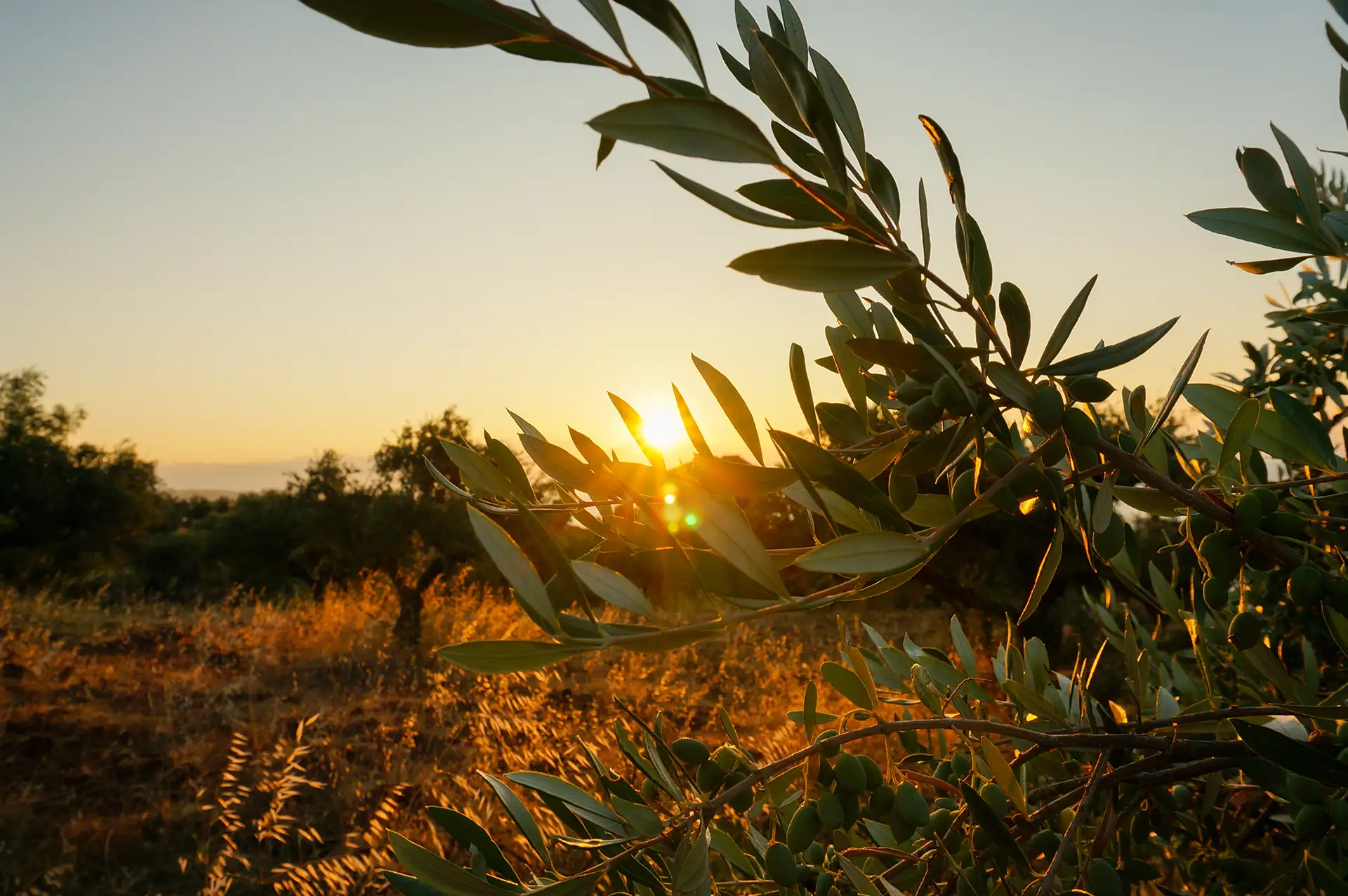 This is your God | ONE FOR ISRAEL Ministry